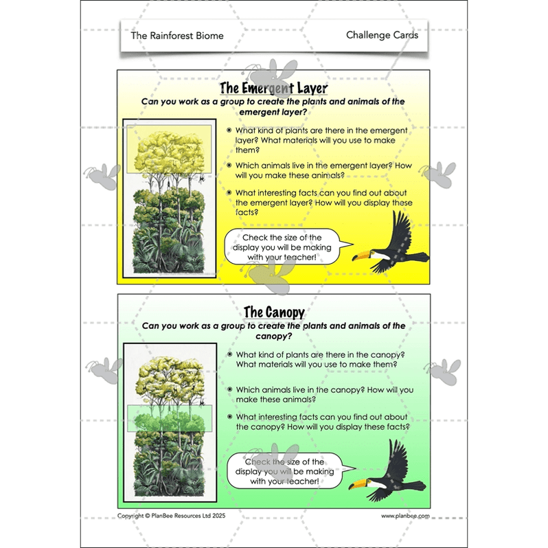 The Rainforest Biome KS2 | Geography Lesson Pack — PlanBee