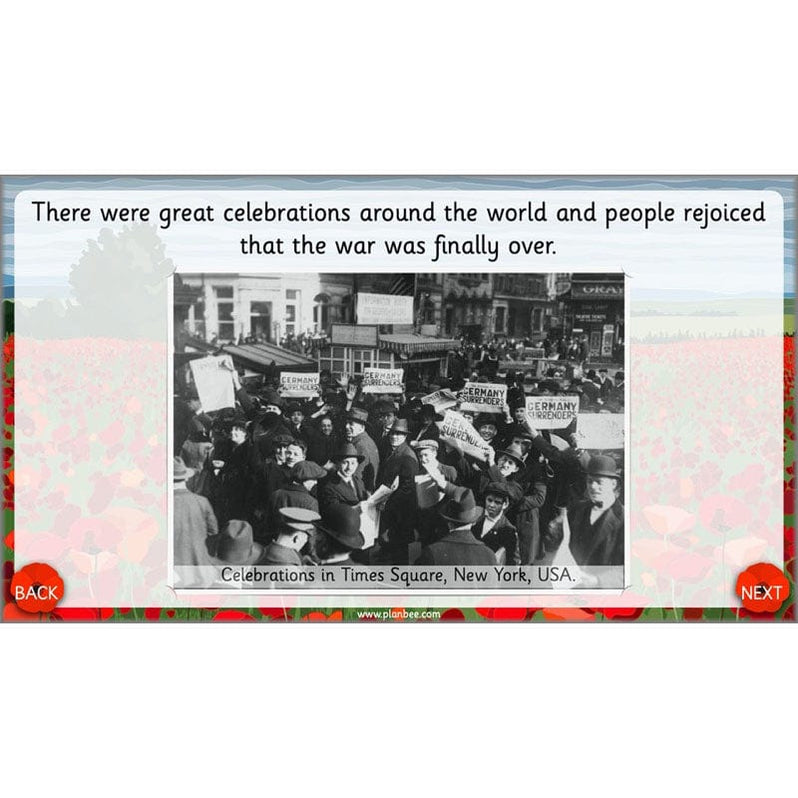 KS1 Remembrance Day Lesson | Year 2 History Planning — PlanBee