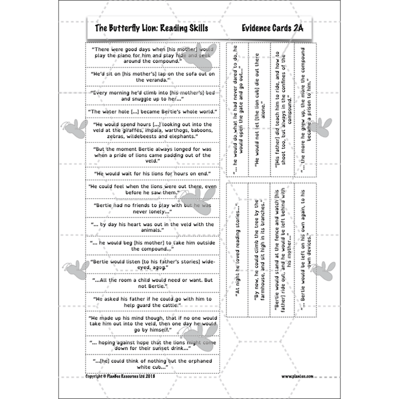 FREE Mini-scheme | The Butterfly Lion Reading Skills KS2 — PlanBee