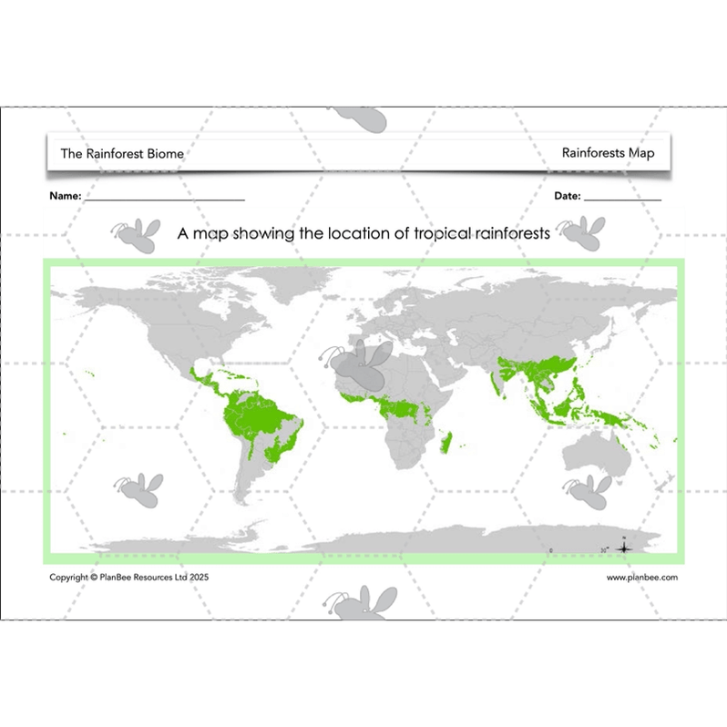 The Rainforest Biome KS2 | Geography Lesson Pack — PlanBee