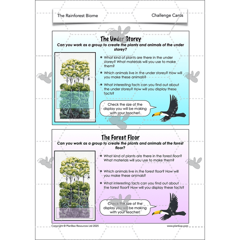 The Rainforest Biome KS2 | Geography Lesson Pack — PlanBee