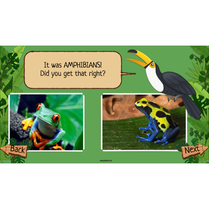 Rainforest Habitats KS2 Science Lesson Pack — PlanBee