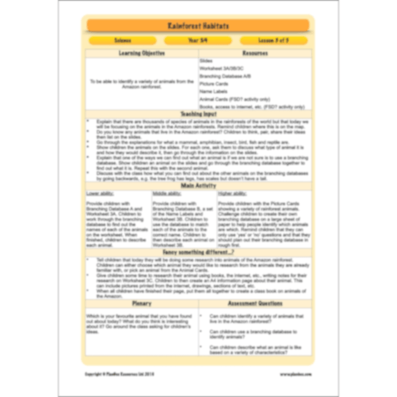 Rainforest Habitats KS2 Science Lesson Pack — PlanBee