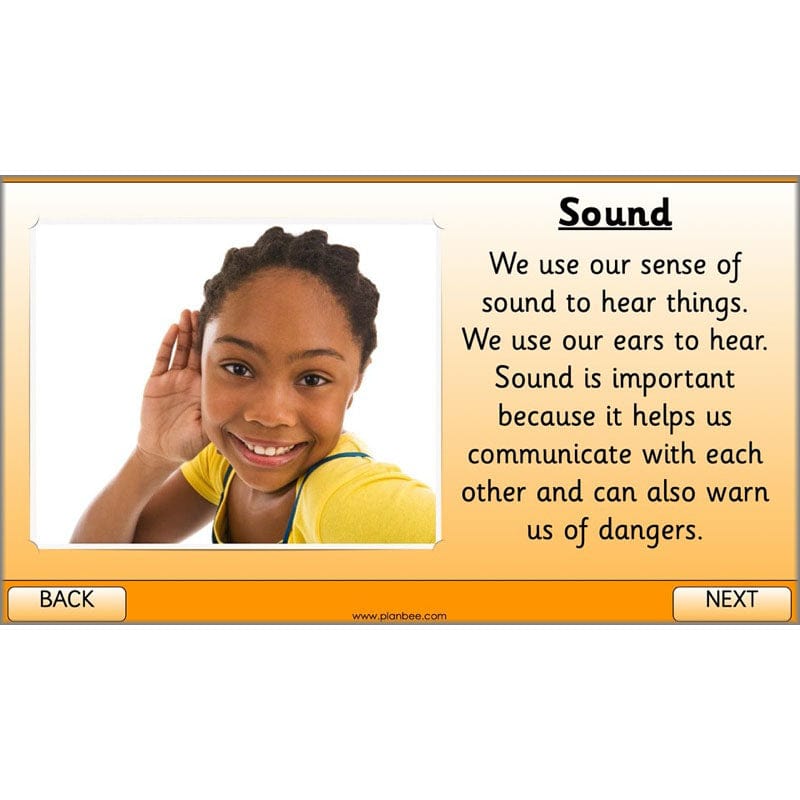 All About Me Topic KS1 Cross-Curricular Resource by PlanBee