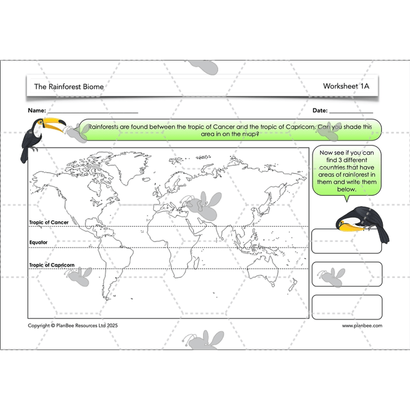 The Rainforest Biome KS2 | Geography Lesson Pack — PlanBee