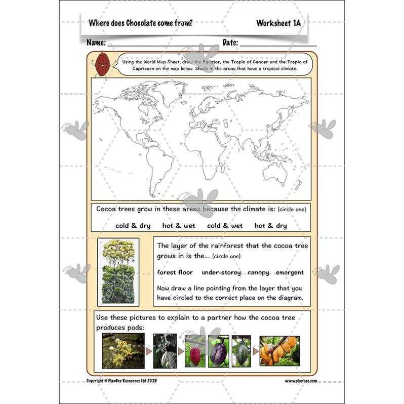 Where does Chocolate come from? | KS2 Geography lessons — PlanBee