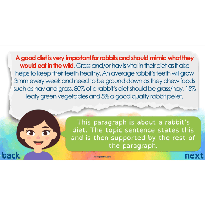 Non-chronological Reports Year 6 English Planning — PlanBee