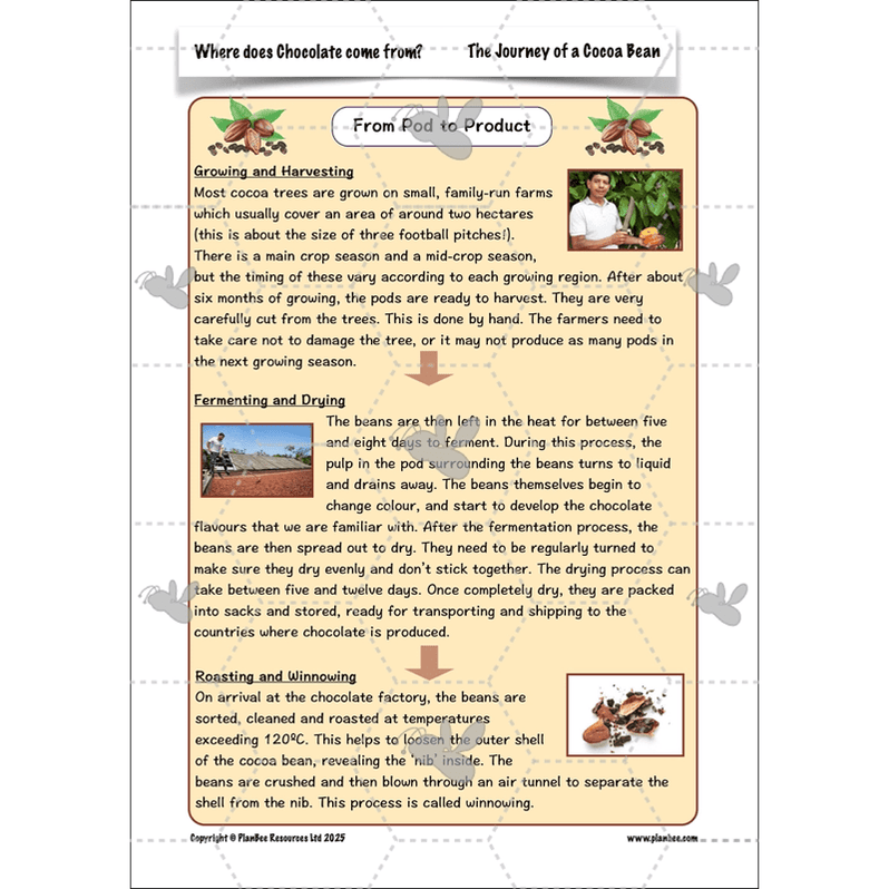 Where does Chocolate come from? | KS2 Geography lessons — PlanBee
