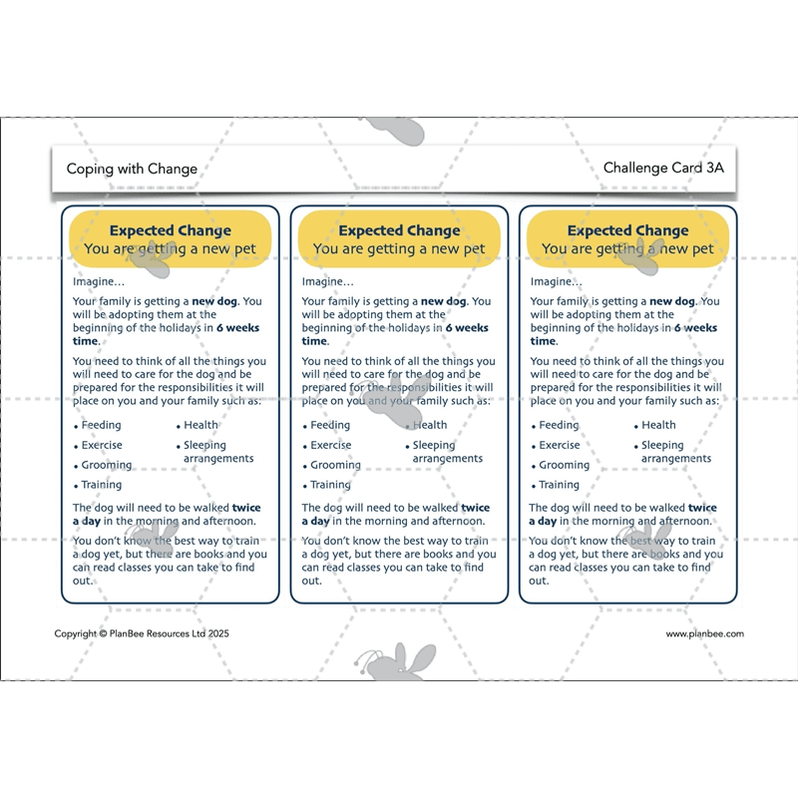 Coping with Change - Year 6 Transition PSHE Activities — PlanBee