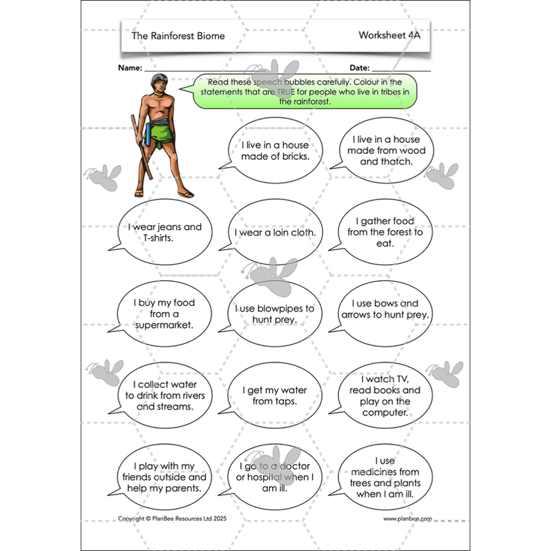 The Rainforest Biome KS2 | Geography Lesson Pack — PlanBee