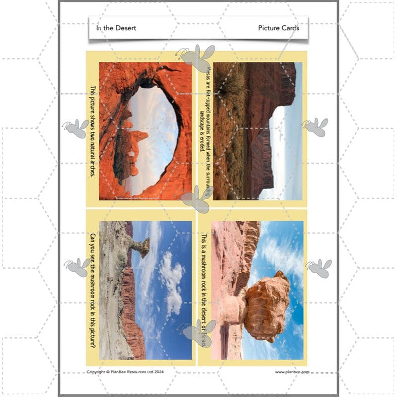In the Desert KS2 Geography Lesson Pack — PlanBee
