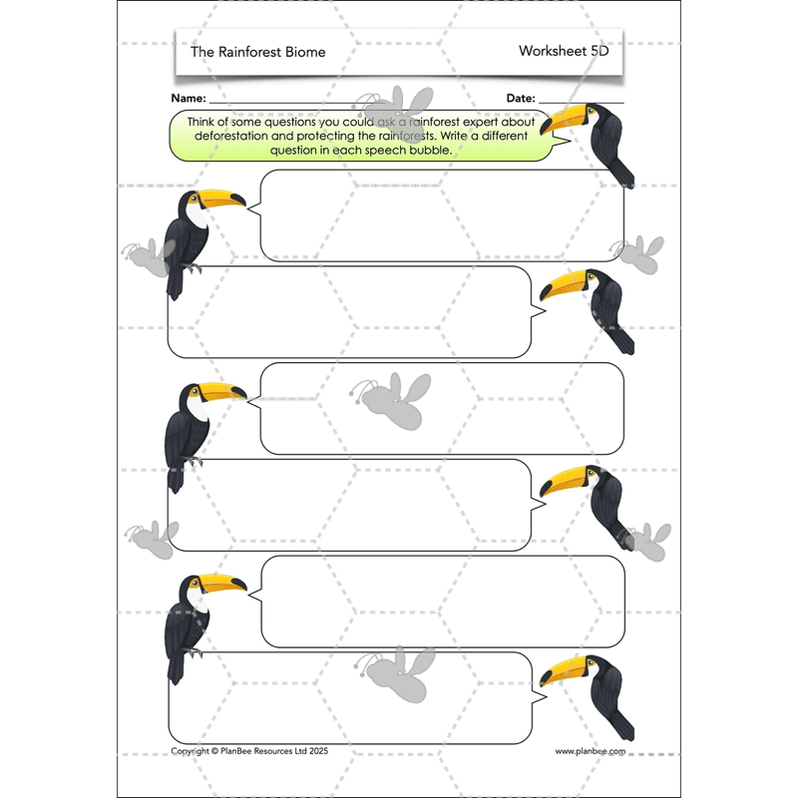 The Rainforest Biome KS2 | Geography Lesson Pack — PlanBee