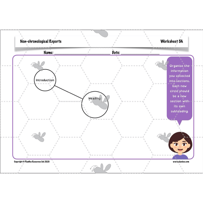 Non-chronological Reports Year 6 English Planning — PlanBee