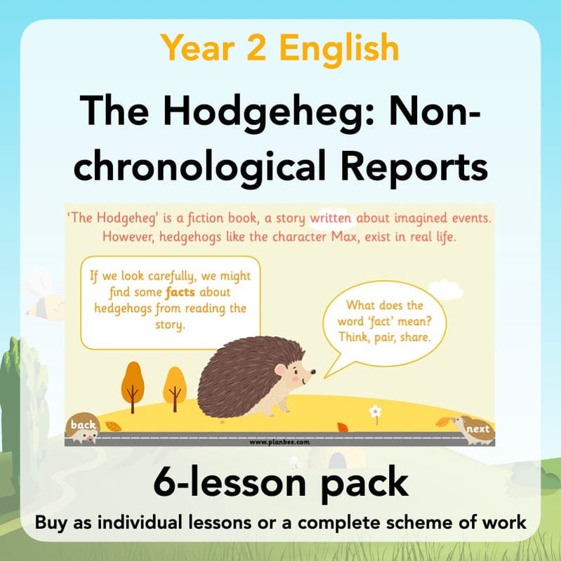 Year 2 English worksheets and lesson plan packs by PlanBee