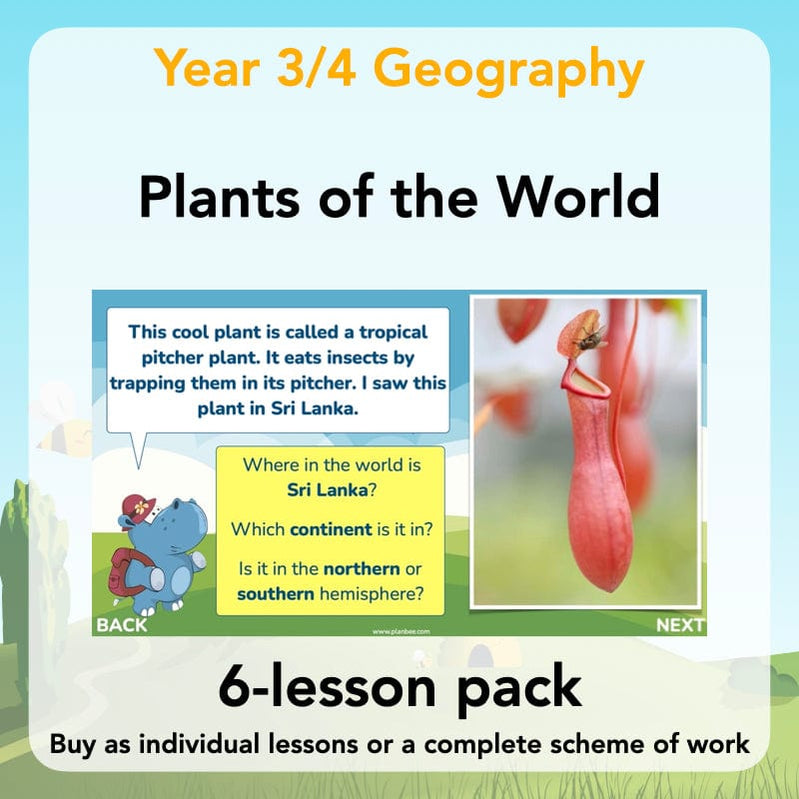 Year 4 Geography curriculum lesson packs by PlanBee