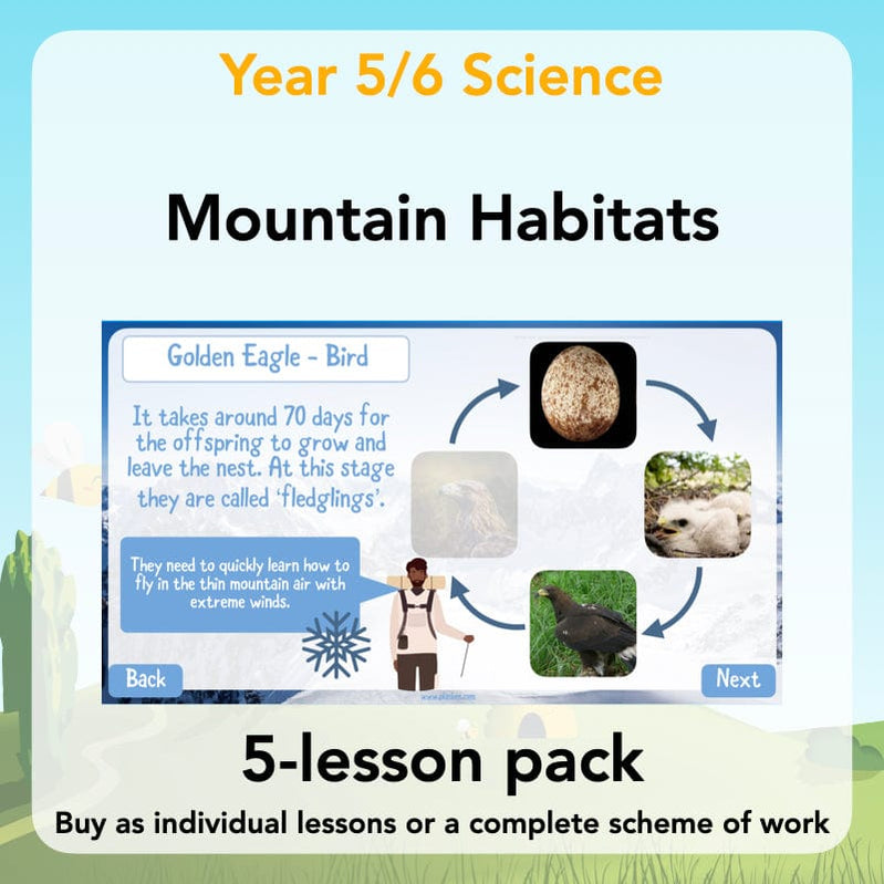 Living Things and Their Habitats KS2 & KS1 Lesson Plans — PlanBee