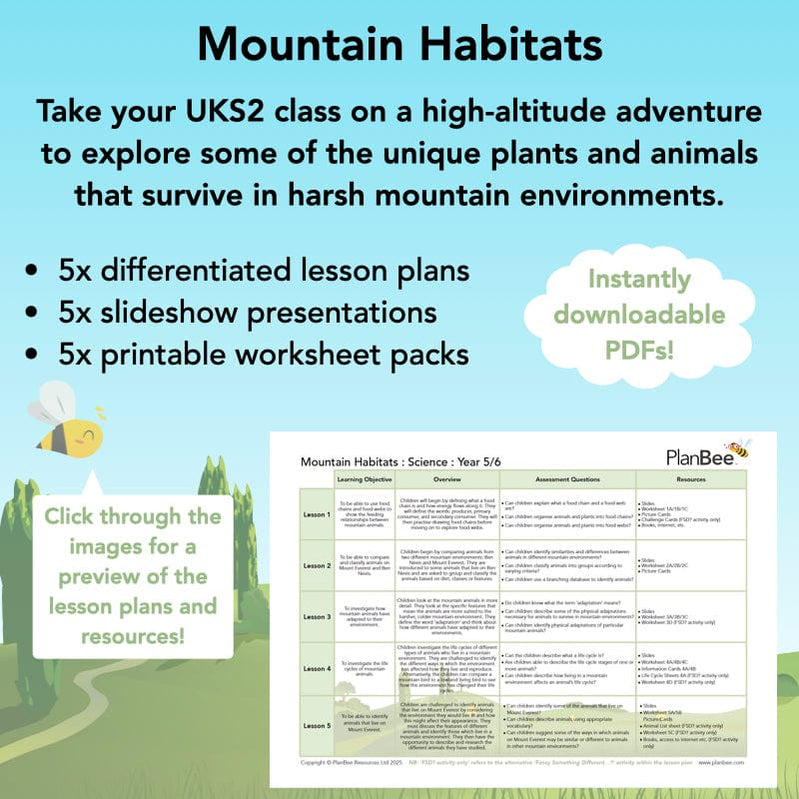 Year 5 Lesson Plans by PlanBee Teaching Resources