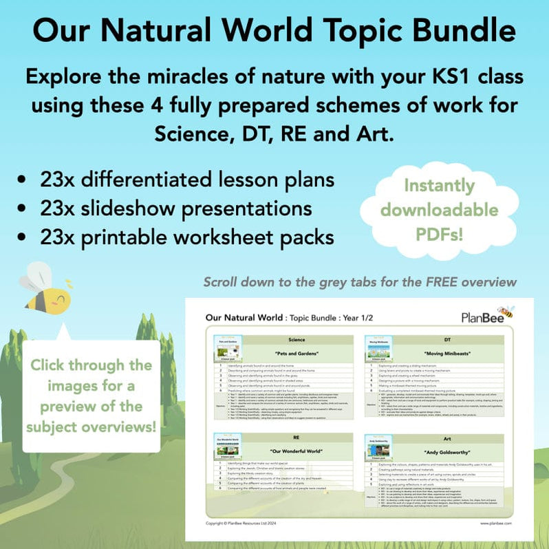 Our Natural World KS1 Topic Bundle | PlanBee