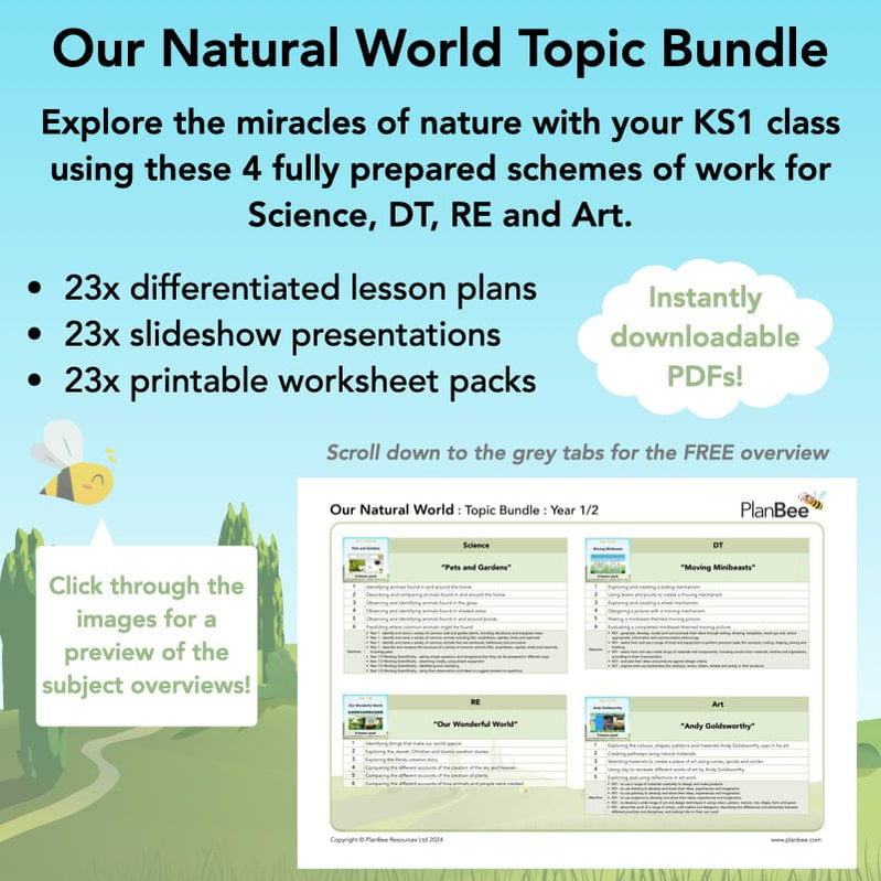 KS1 Topic Ideas for Creative Curriculum Lessons by PlanBee