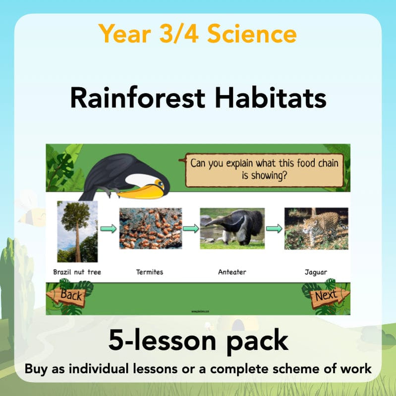 Living Things and Their Habitats KS2 & KS1 Lesson Plans — PlanBee
