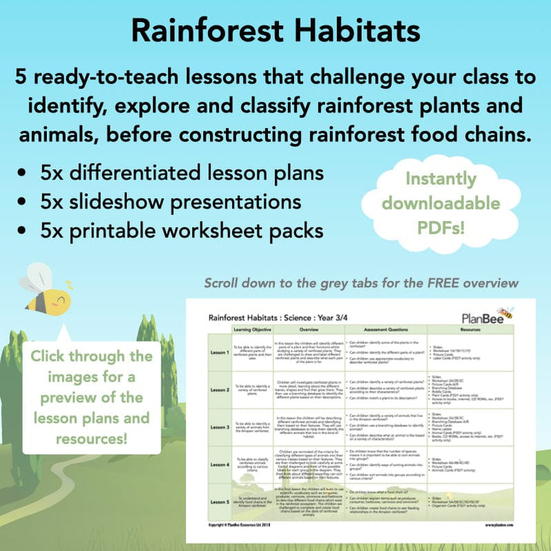 Rainforest Habitats KS2 Science Lesson Pack — PlanBee