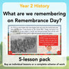 KS1 Remembrance Day Lesson | Year 2 History Planning — PlanBee