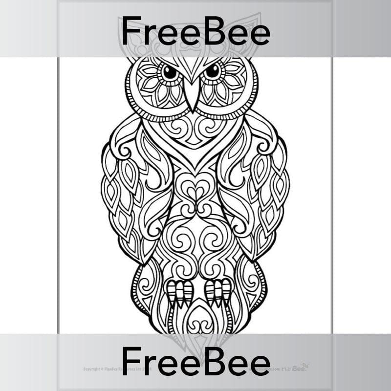 FREE Animal Mindfulness Colouring Sheets by PlanBee