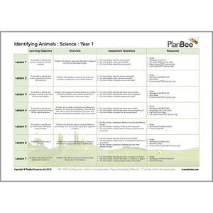 Amazing Animals KS1 Topic Bundle by PlanBee