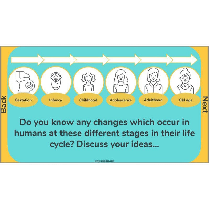 Human Life Cycle KS2 lessons | Year 5 Science by PlanBee