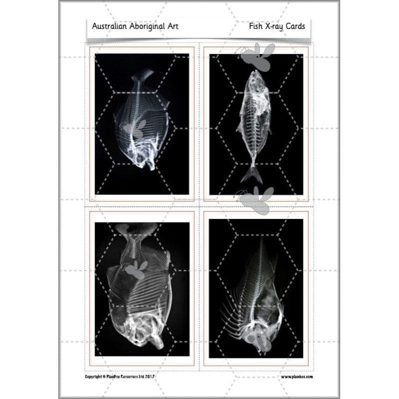 KS1 Aboriginal Art Lesson plan and resources by PlanBee