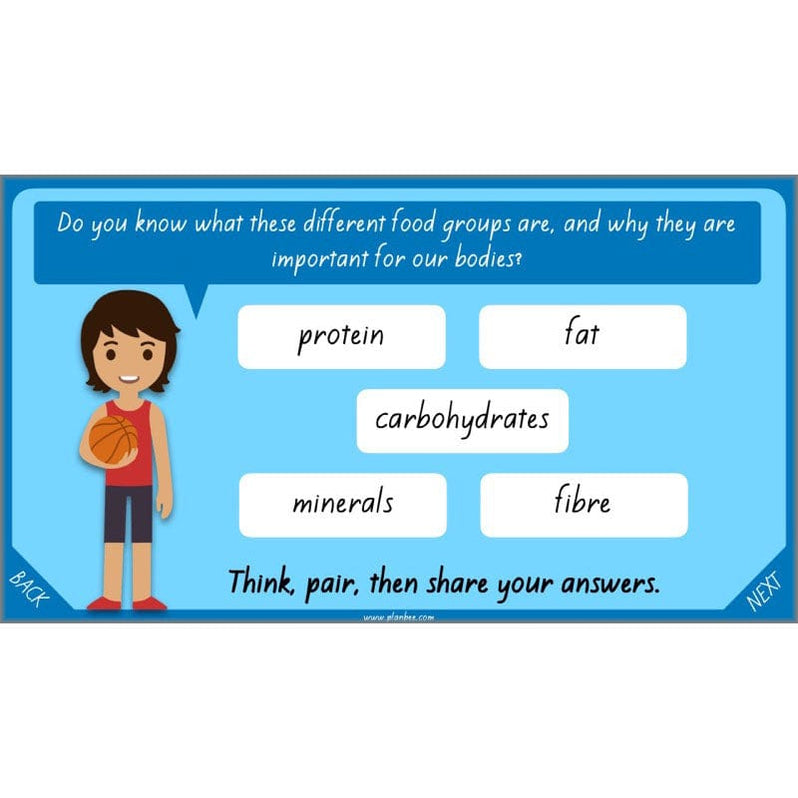 Healthy Bodies Year 6 Animals including Humans by PlanBee