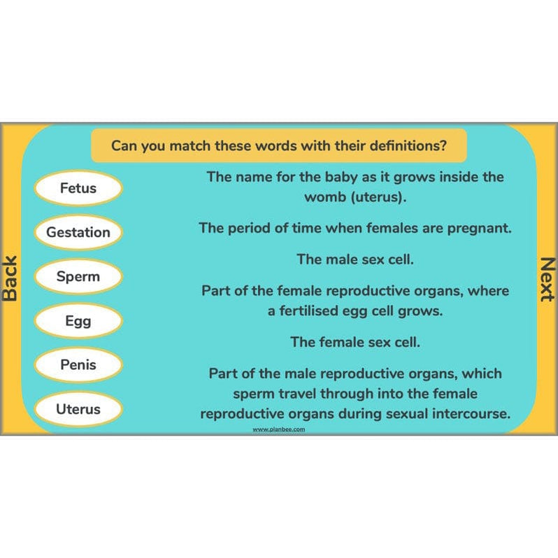Human Life Cycle KS2 lessons | Year 5 Science by PlanBee