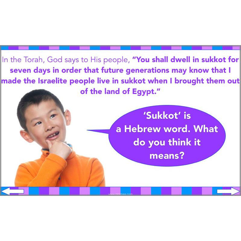 Jewish Celebrations KS2 Primary RE Lesson Pack by PlanBee