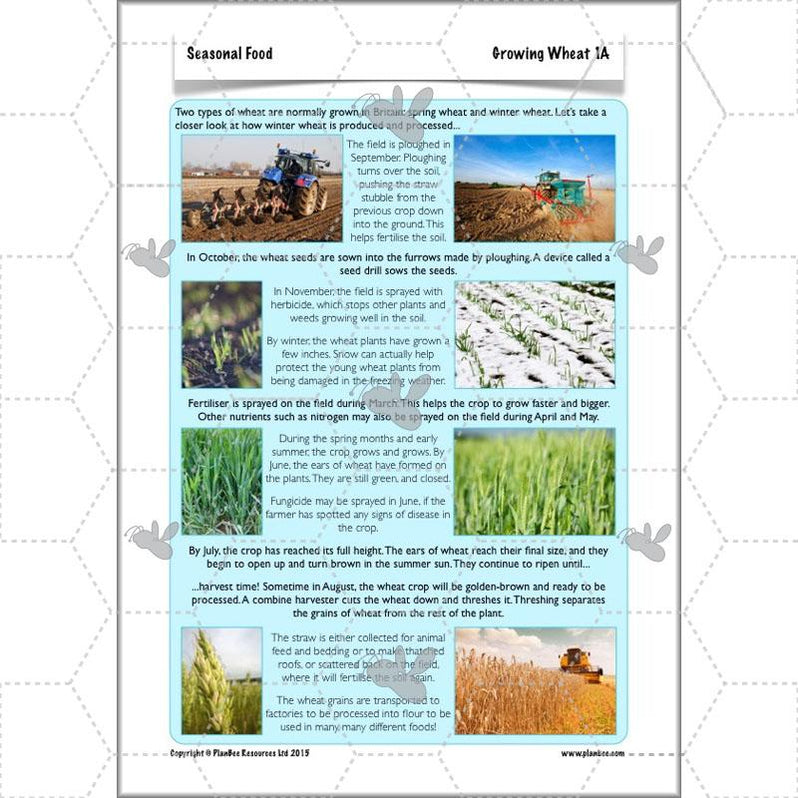 Seasonal Food Seasonality KS2 cooking lessons by PlanBee