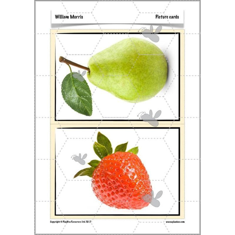 William Morris KS2 Art Lesson Plan Packs for Year 3 & Year 4 — PlanBee