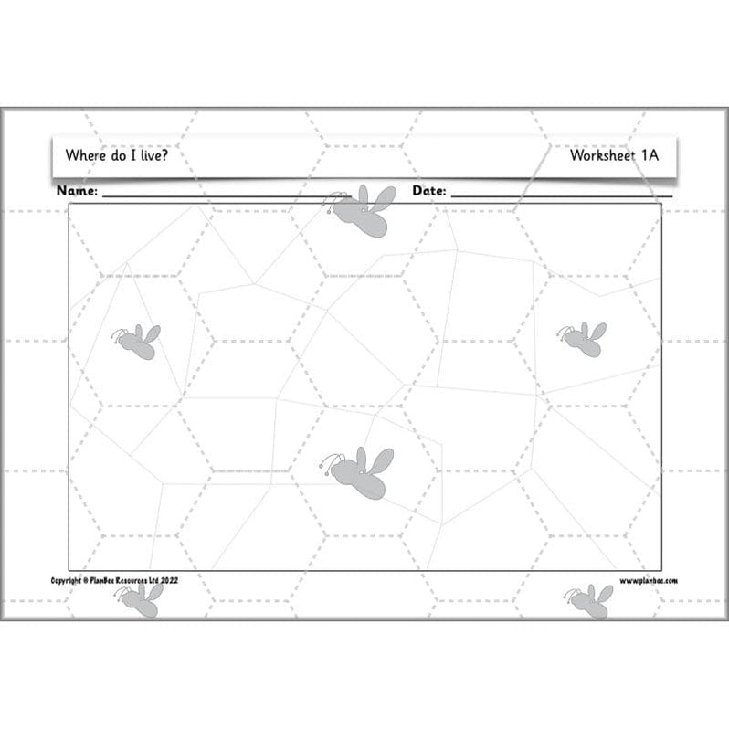 Our Local Area KS1 Geography Planning | PlanBee