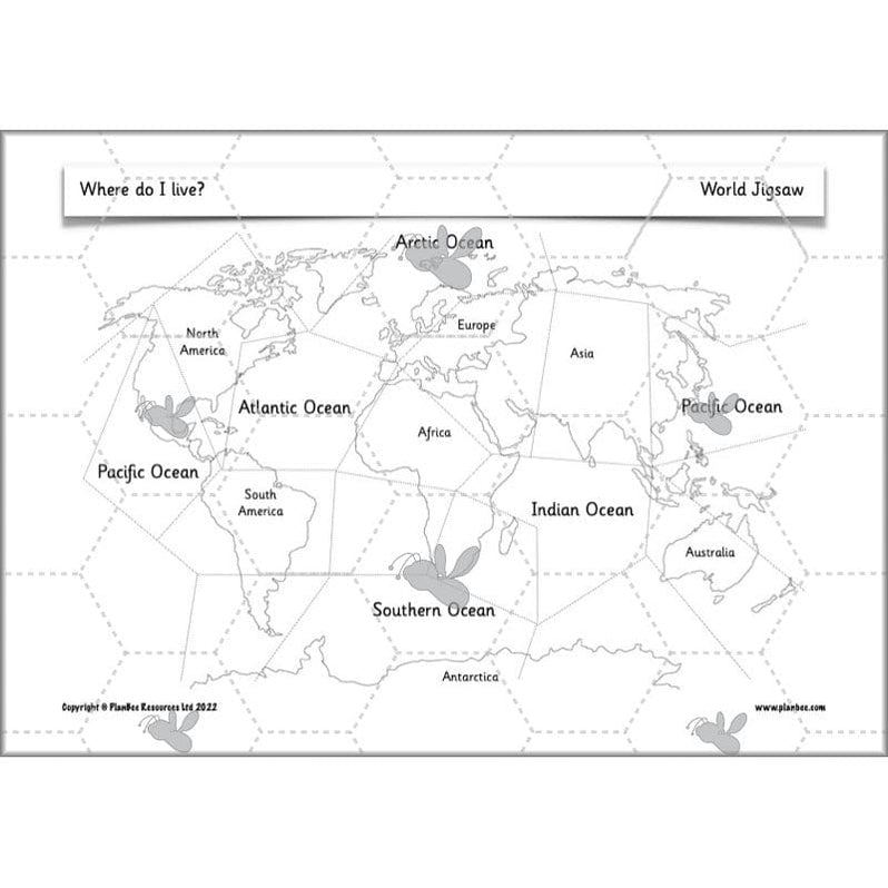 Our Local Area KS1 Geography Planning | PlanBee