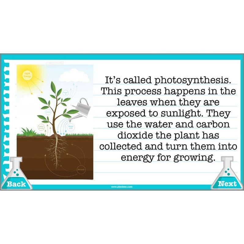 Scientific Enquiry KS2 Lessons - What Do Scientists Do? — PlanBee