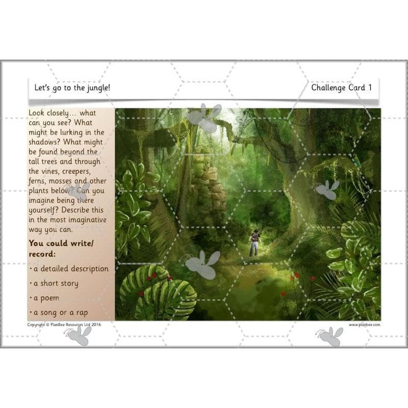 Tropical Jungle Activities for KS1 Geography by PlanBee