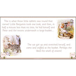 Beatrix Potter KS1 Lesson Plans and Resources by PlanBee
