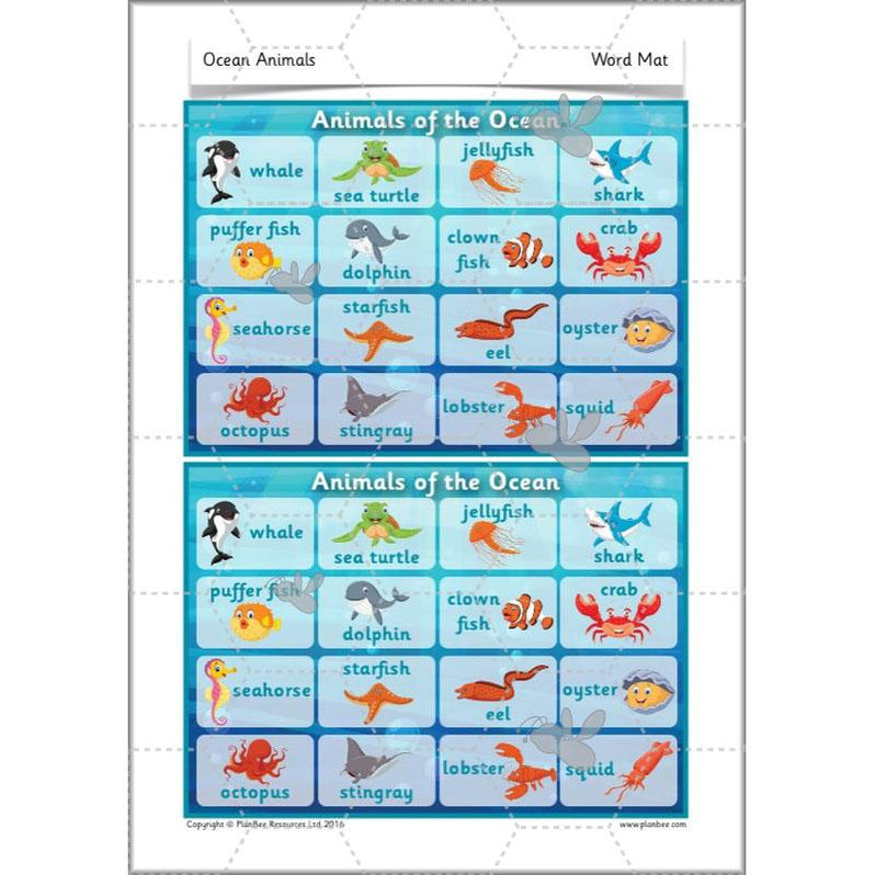 FREE Under the Sea KS1 Ocean Animals lesson pack | PlanBee