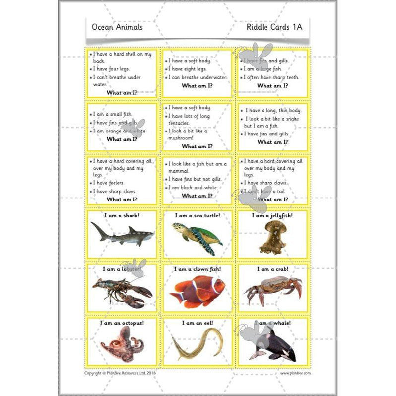 FREE Under the Sea KS1 Ocean Animals lesson pack | PlanBee
