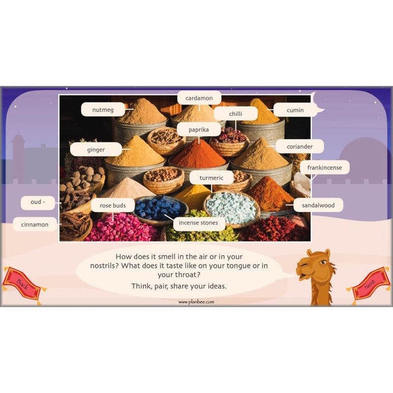 1001 Arabian Nights KS2 English Lessons by PlanBee