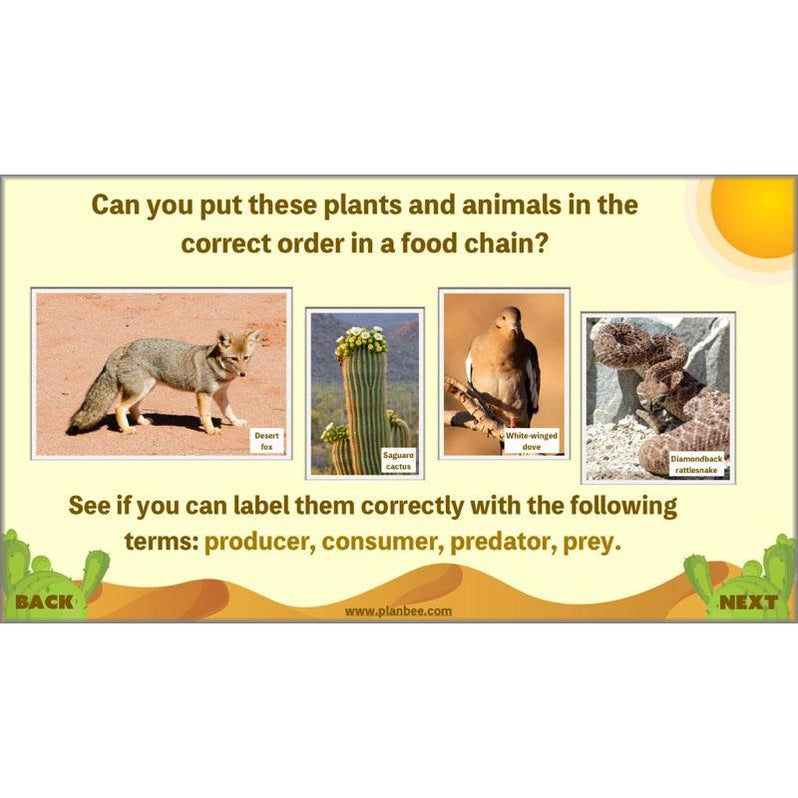 Desert Habitat KS2 Science Lessons by PlanBee