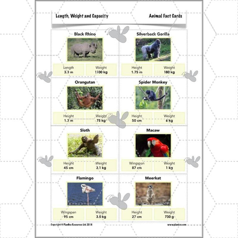 Length, Weight & Capacity Year 5 Maths Planning by PlanBee