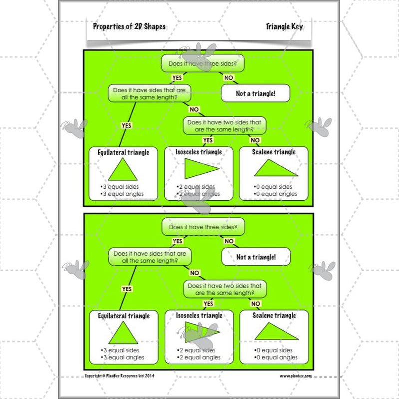 Year 4 Properties of 2D Shapes KS2 Maths by PlanBee