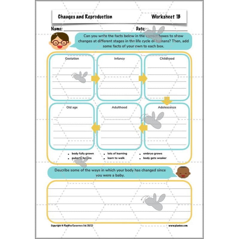 Human Life Cycle KS2 lessons | Year 5 Science by PlanBee