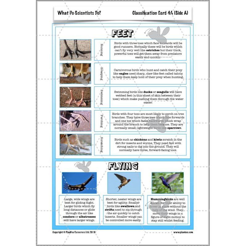 Scientific Enquiry KS2 Lessons - What Do Scientists Do? — PlanBee