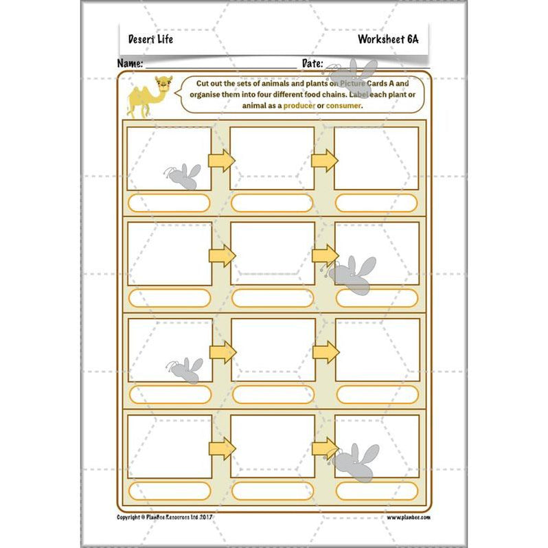 Desert Habitat KS2 Science Lessons by PlanBee