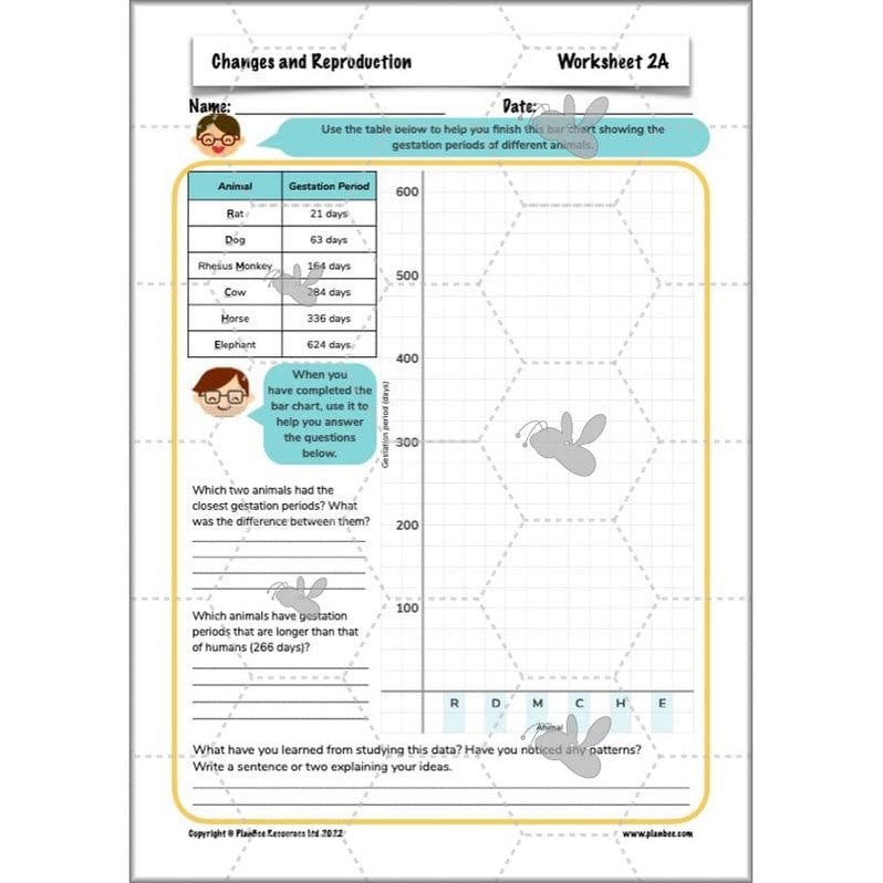 Human Life Cycle KS2 lessons | Year 5 Science by PlanBee